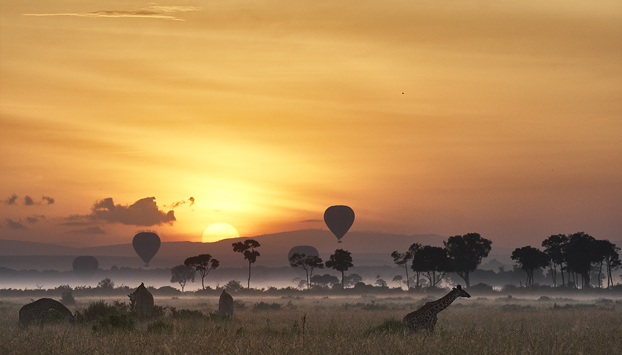 Nature in the Maasai Mara